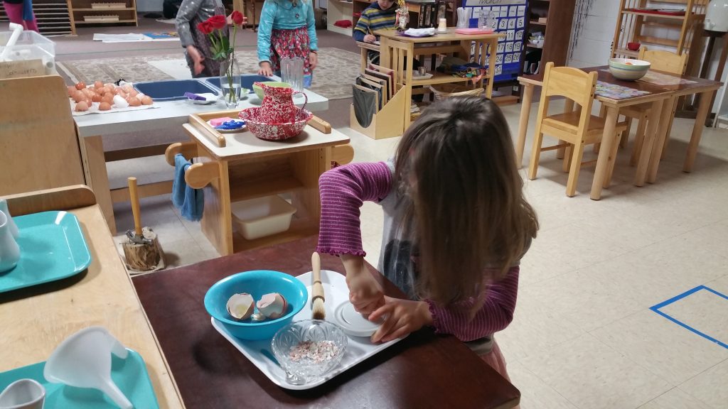 Pictures – Maple Tree Montessori Academy